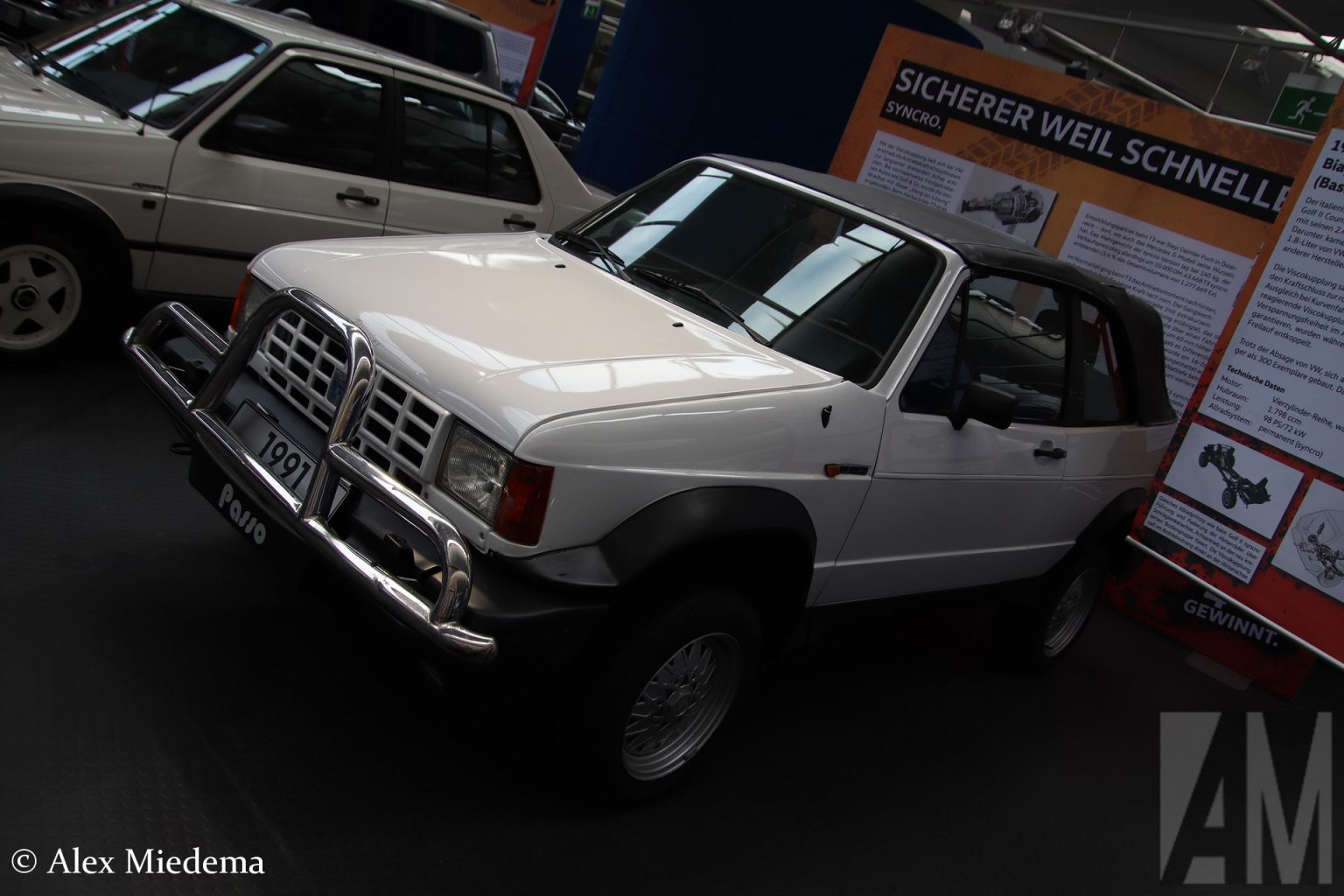 Biagini Passo in het wild - Alex Miedema