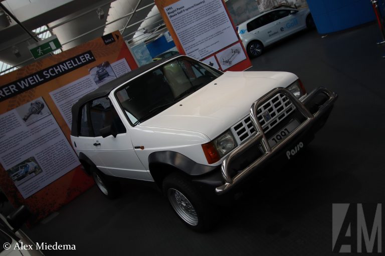 Biagini Passo in het wild - Alex Miedema