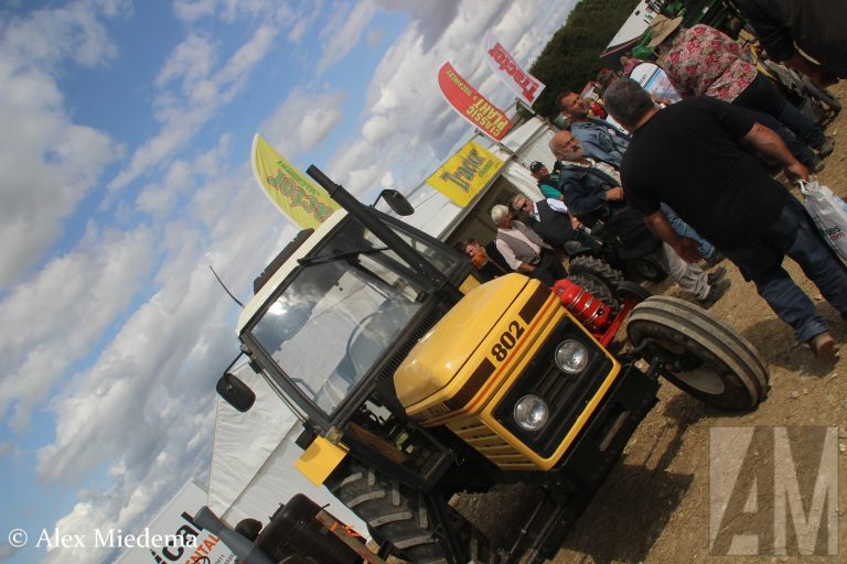 Het Digitaal Museum: Marshall 802 - Alex Miedema