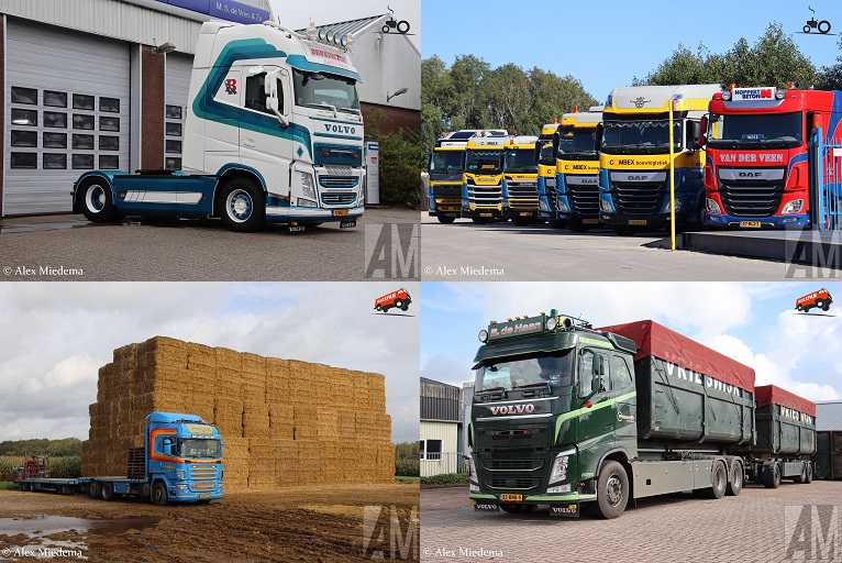 De oogst van week 39 2019 - Alex Miedema