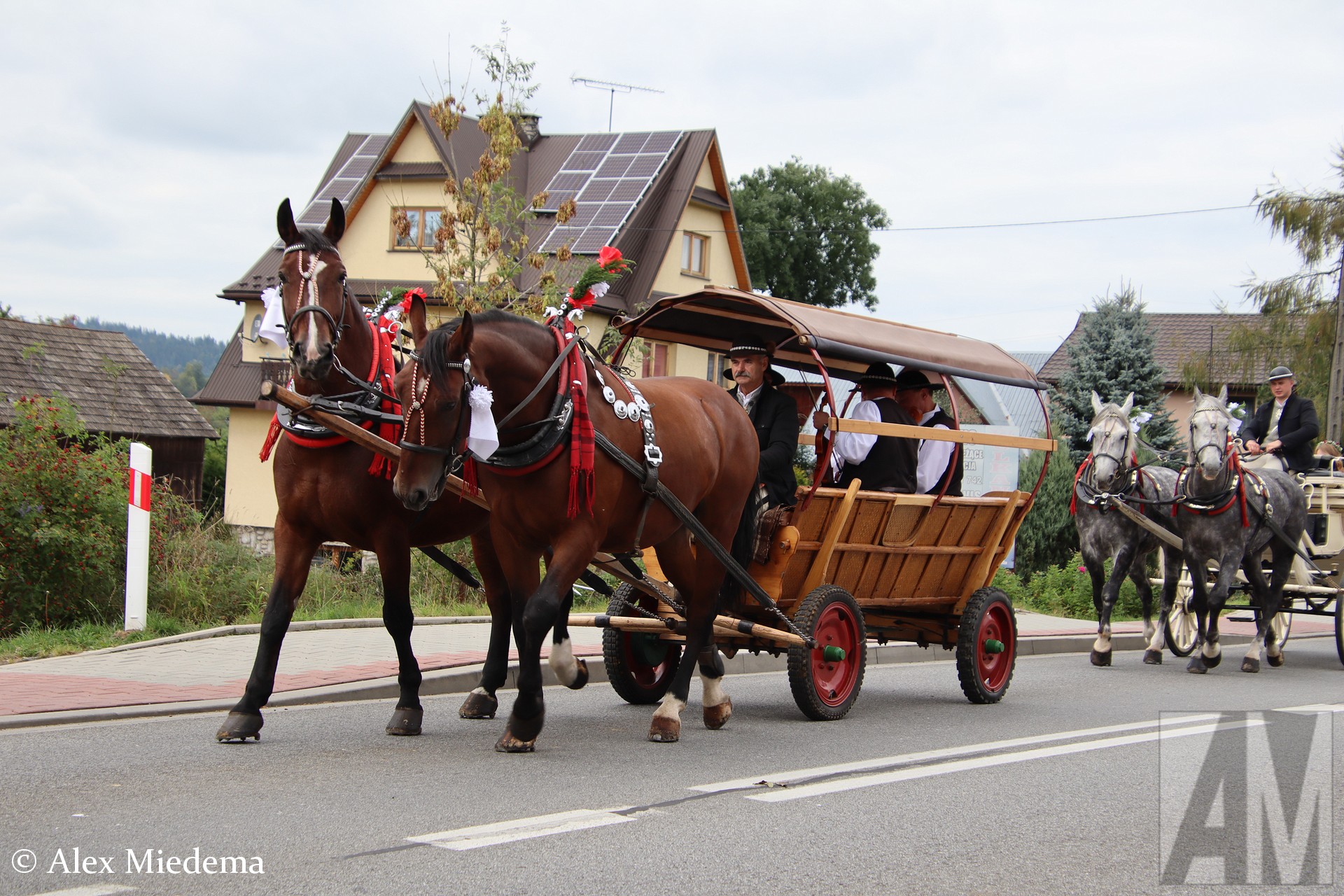 Een Poolse bruiloft te paard - Alex Miedema