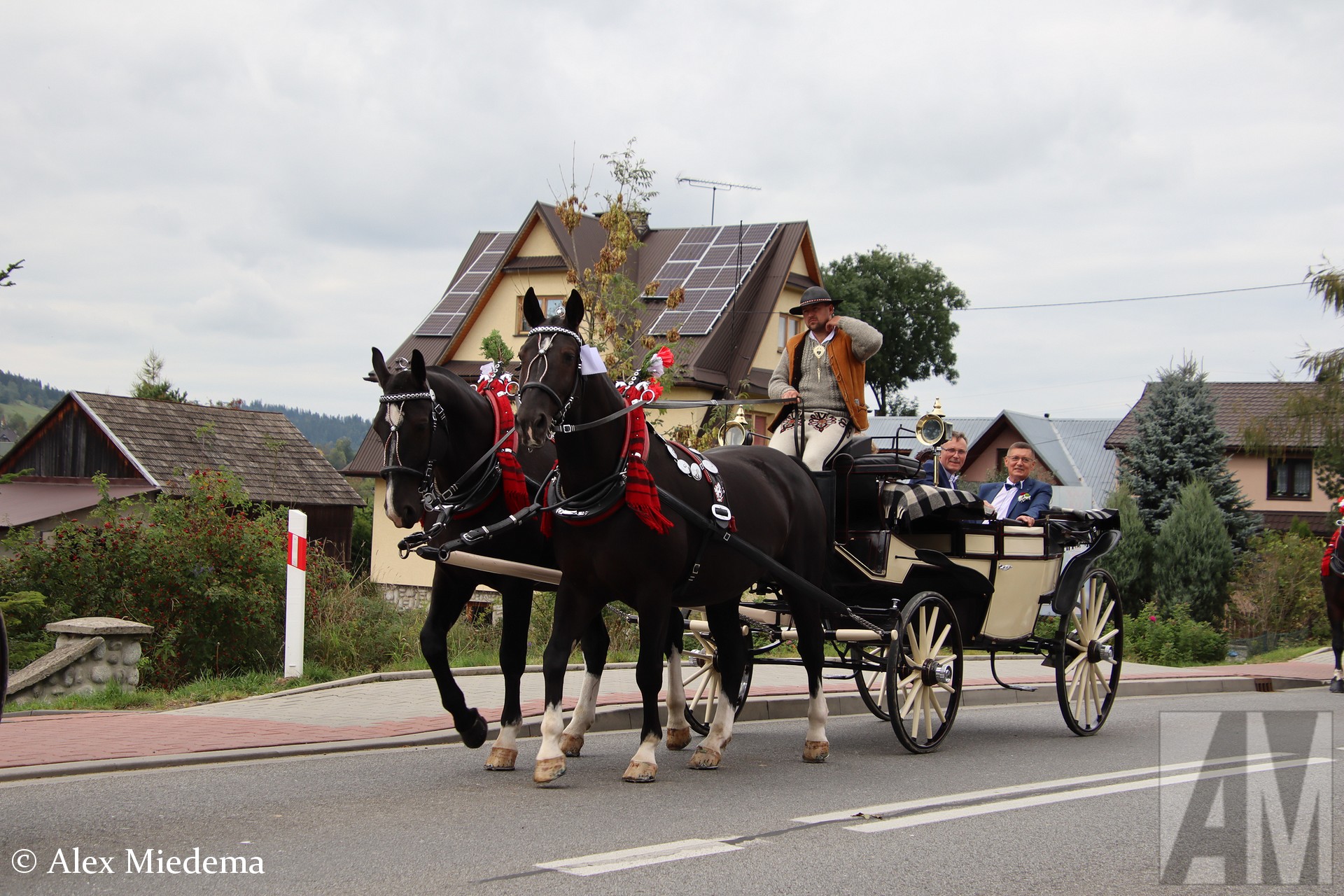 Een Poolse bruiloft te paard - Alex Miedema