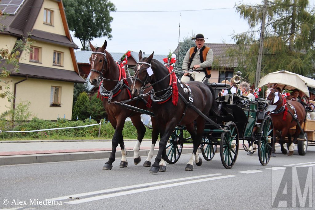 Een Poolse bruiloft te paard - Alex Miedema