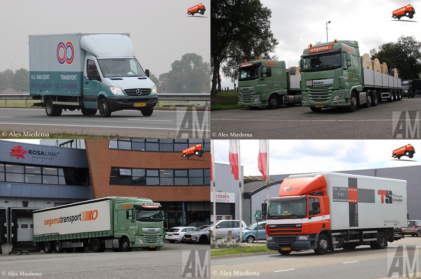 Oegema neemt Van Oort en TS Meubeltransport over - Alex Miedema